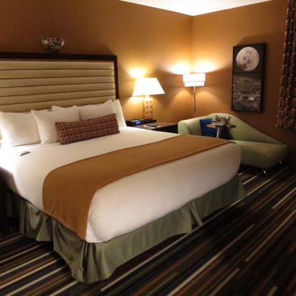 Luxury Perks and Indoor Stargazing in the Heart of St. Louis at The ...